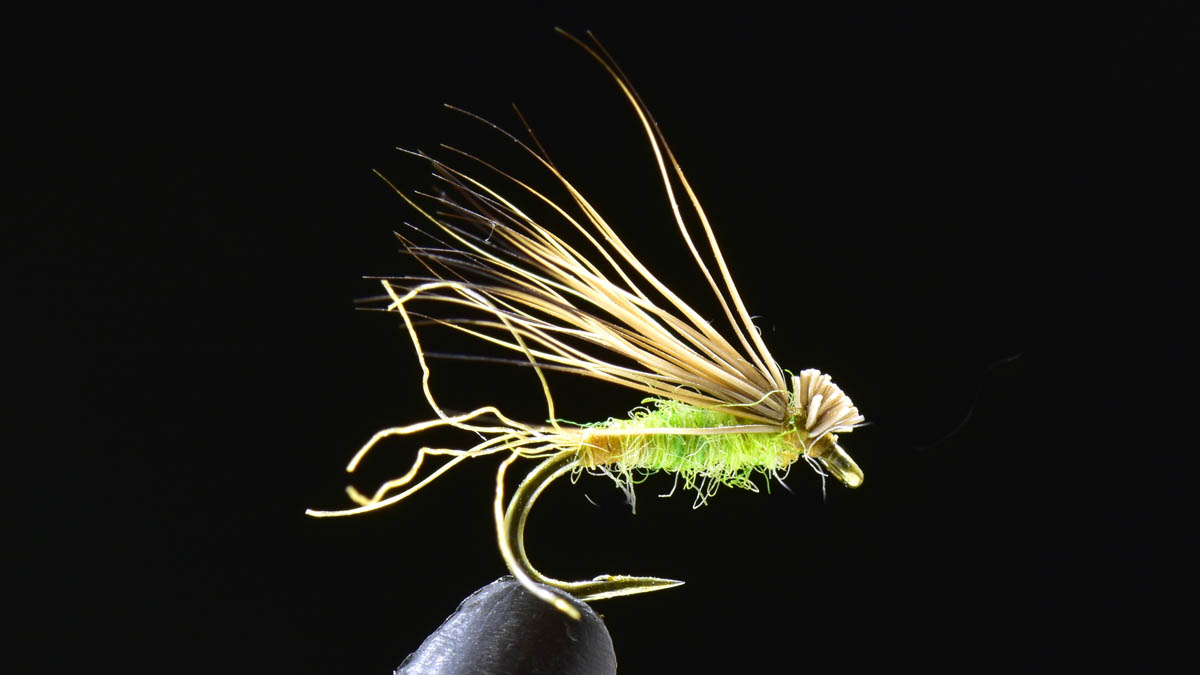 X-Caddis | FLY FINDER | FlyFisher ONLINE フライフィッシング専門誌フライフィッシャー オフィシャルサイト